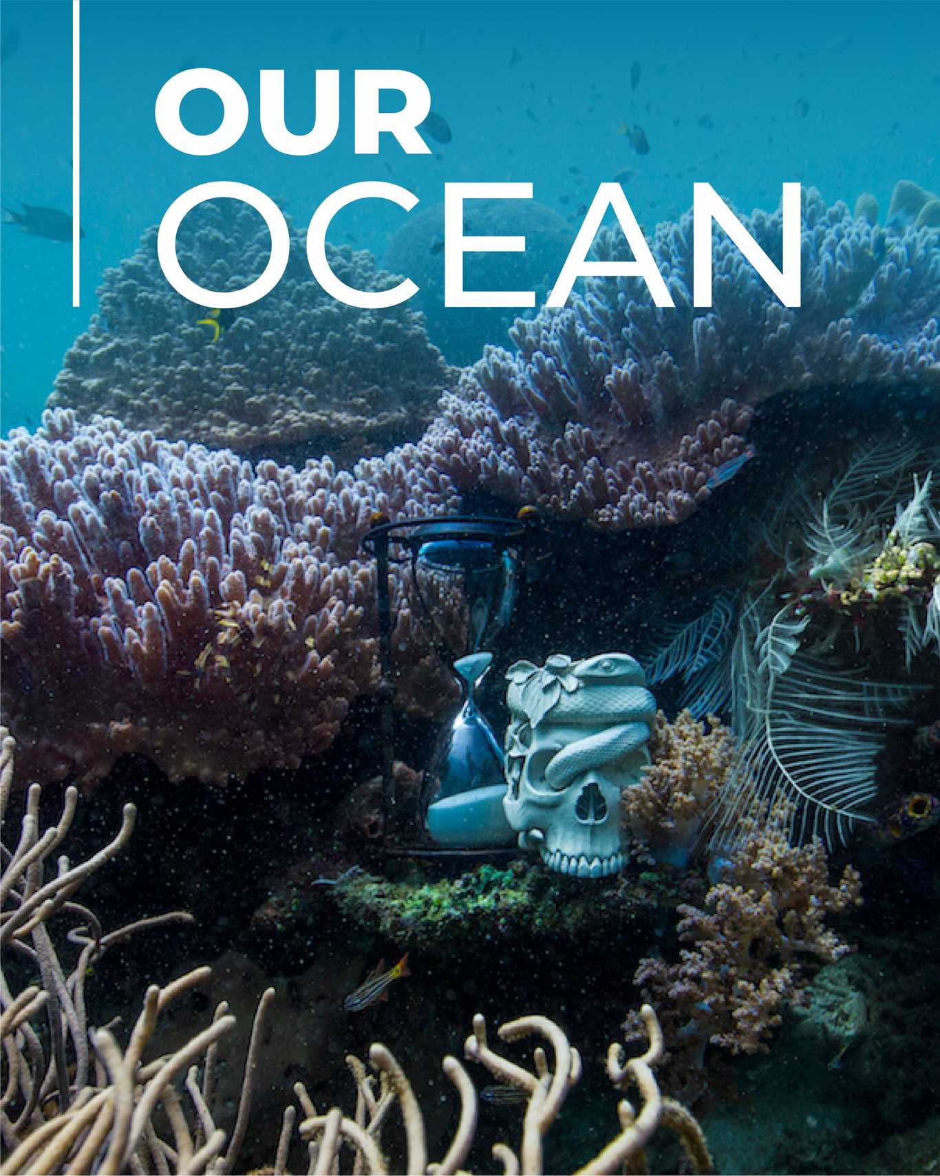 Lessons From Our Planet | One Planet One Future