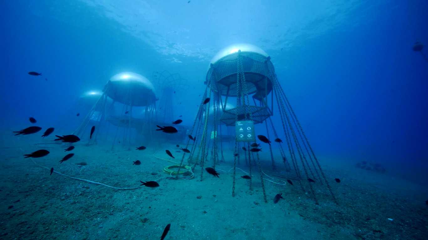 Earth Protectors | One Planet One Future