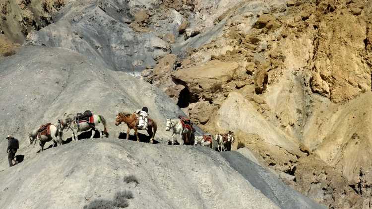 Earth Protectors | One Planet One Future